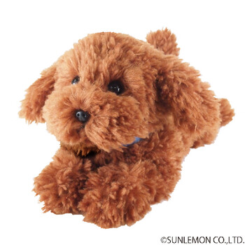 Sunlemon Original旗舰店 - 京东